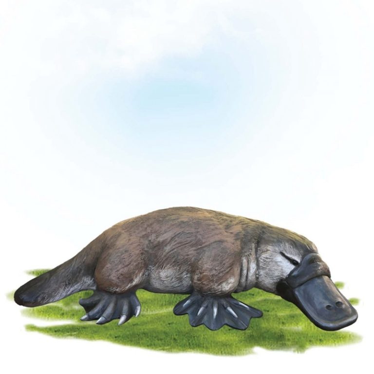 Bronze Large Platypus Statue - YouFine