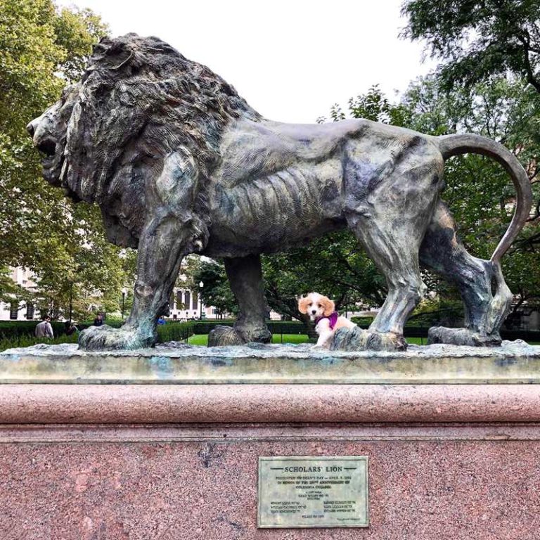 Outdoor Lion Statue