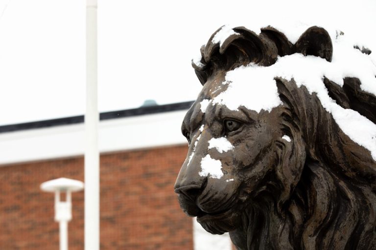 Outdoor Lion Statue