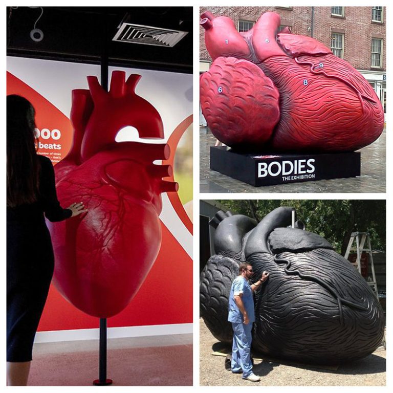 Customized Anatomical Human Heart Sculpture - YouFine